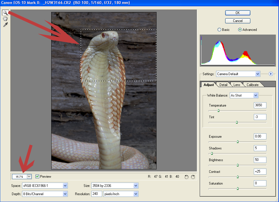 Editing in Capture One RAW Conversion Program